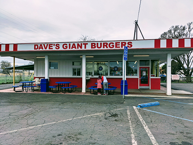 The classic American burger stand in all its glory &ndash; red and white stripes announcing "yes, we make proper burgers here" to hungry Fairfield travelers.