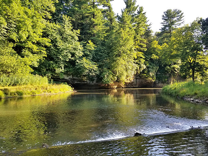 Nature's emerald gateway welcomes you into a world where Illinois suddenly pretends it's the Pacific Northwest.