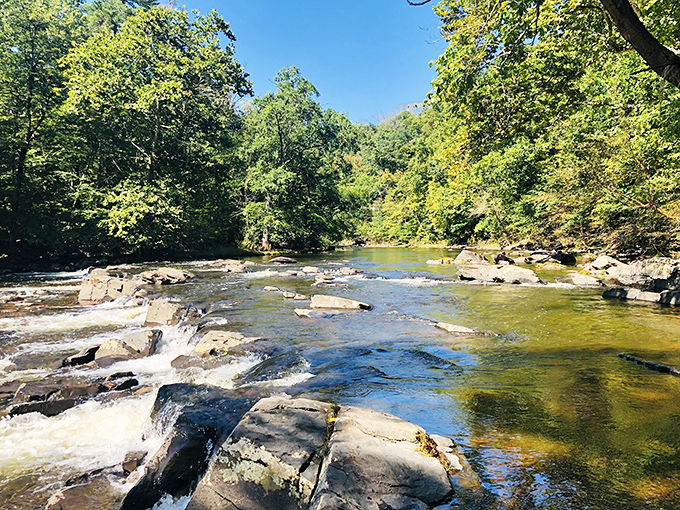 Tohickon Creek's gentle rapids create nature's own spa day—minus the cucumber water and awkward small talk with strangers in bathrobes.