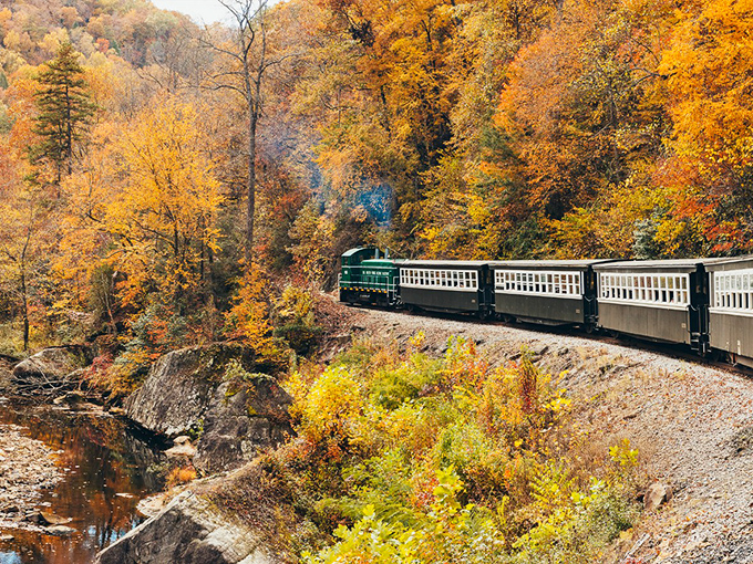 Nature's own autumn fashion show unfolds as the emerald locomotive winds through Kentucky's golden canvas. Mother Earth doesn't need Instagram filters.
