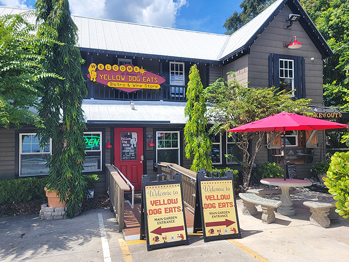 The charming facade of Yellow Dog Eats stands like a BBQ oasis amid Florida greenery, promising smoky treasures within its historic walls.