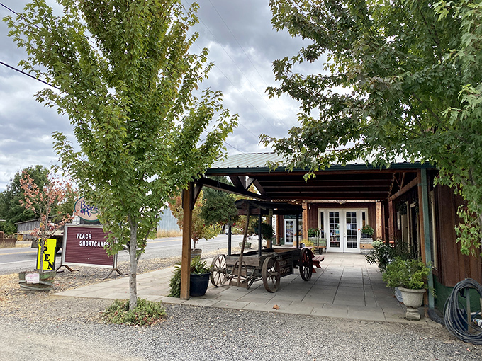 The rustic charm of Blue Raeven Farmstand beckons from Highway 99W, promising homemade treasures beneath its wooden beams and welcoming porch.