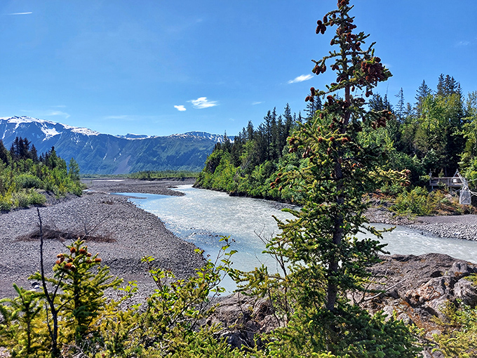 Nature's own masterpiece: glacial waters carve through pristine wilderness, creating a scene that makes smartphone wallpapers look like amateur hour.