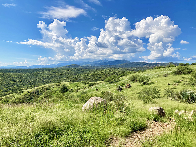 Rolling hills meet dramatic skies at Oracle State Park, where nature puts on a show that makes IMAX theaters seem redundant.