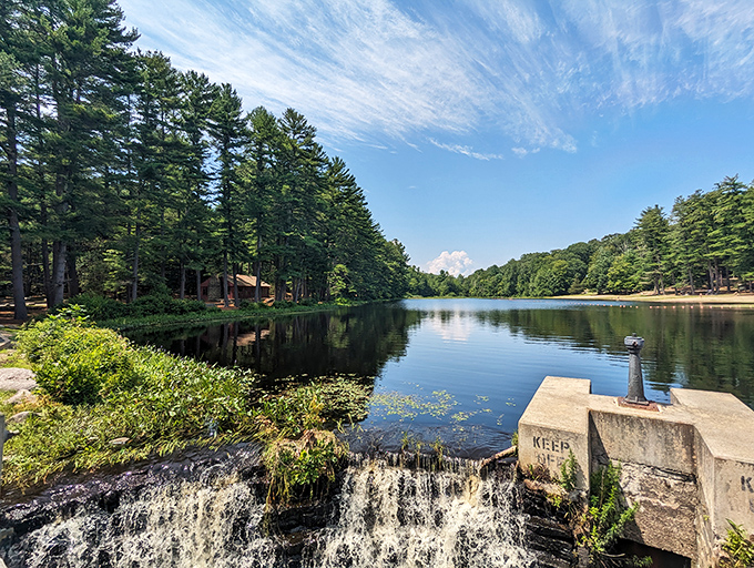 Nature's mirror game is on point here, with towering pines creating a perfect reflection in waters so still you could practically skate across them.