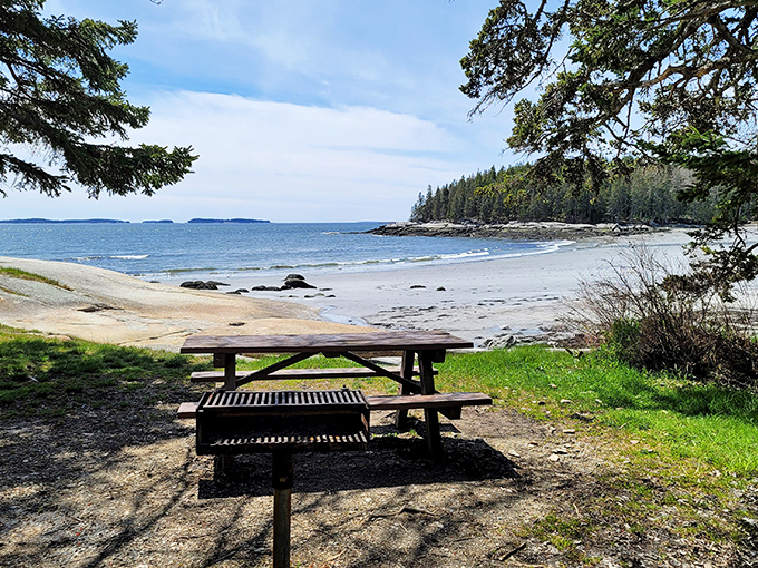 Nature's perfect picnic spot awaits &ndash; this table with a million-dollar view beats any five-star restaurant reservation.