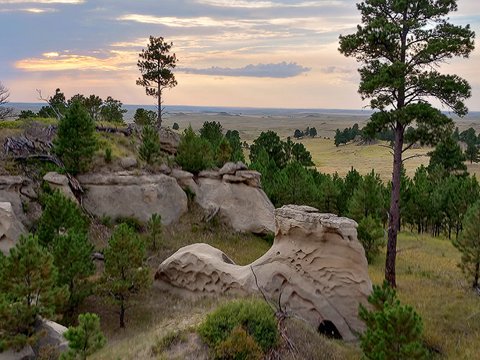The golden hour transforms these ancient formations into a photographer's paradise, with endless prairie stretching to the horizon beyond.