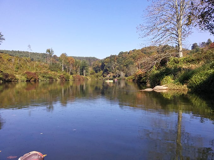 Autumn's paintbrush transforms the New River into a mirror of fall splendor, where the water's stillness captures a perfect reflection that doubles the seasonal magic.
