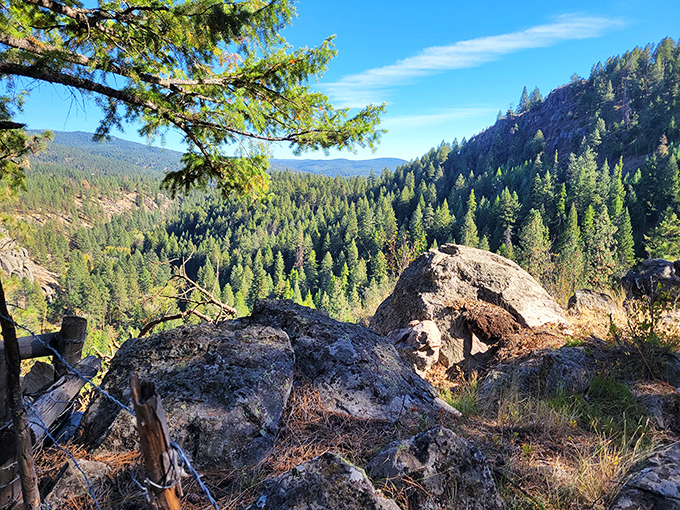 Nature's skyscraper view at Catherine Creek State Park – where Oregon's wilderness stretches farther than your weekend plans.