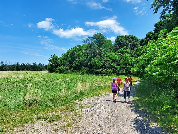 Hikers discover the perfect balance of meadow and forest at Erie Bluffs. Nature's version of work-life balance exists right here in Pennsylvania.