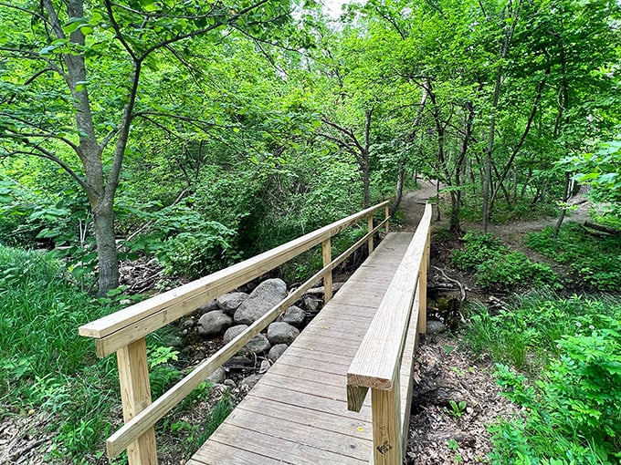 Nature's boardwalk invites you deeper into the forest, like a wooden red carpet to the wilderness ball.