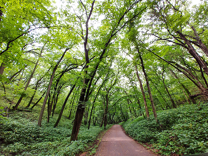 Those towering trees create a cathedral of green that'll make you forget you're still in South Dakota.