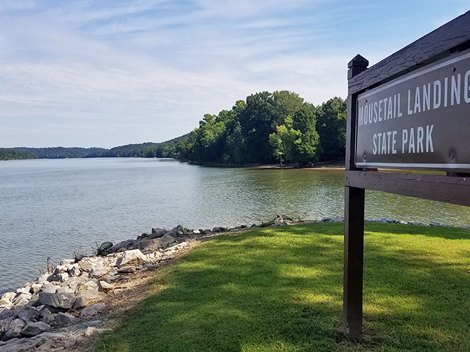The park's welcoming sign stands sentinel by the Tennessee River, where gentle waters meet pristine shoreline &ndash; nature's front porch awaits.