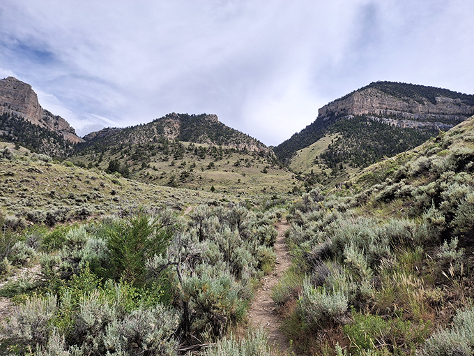 Nature's own hiking paradise awaits on this sage-dotted trail. The mountains stand like ancient guardians, beckoning adventurers into Wyoming's embrace.