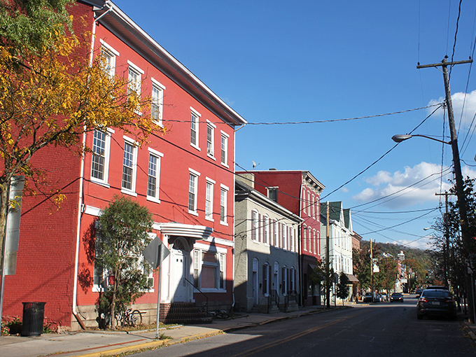 When autumn paints the town, even the power lines seem to frame nature's masterpiece like an outdoor gallery.