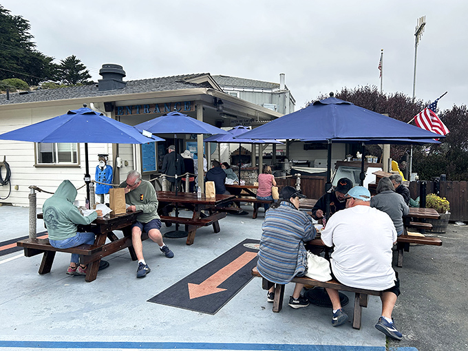 Blue umbrellas and rustic picnic tables welcome seafood pilgrims to this unassuming coastal shrine where flavor trumps frills every time.