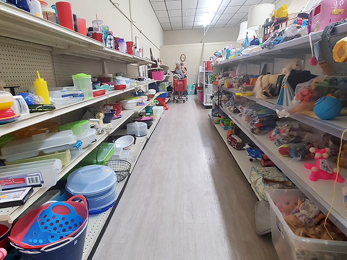Plastic tubs, kitchen gadgets, and colorful containers line this aisle like a homemaker's dream sequence&mdash;each item waiting for its second chance at usefulness.