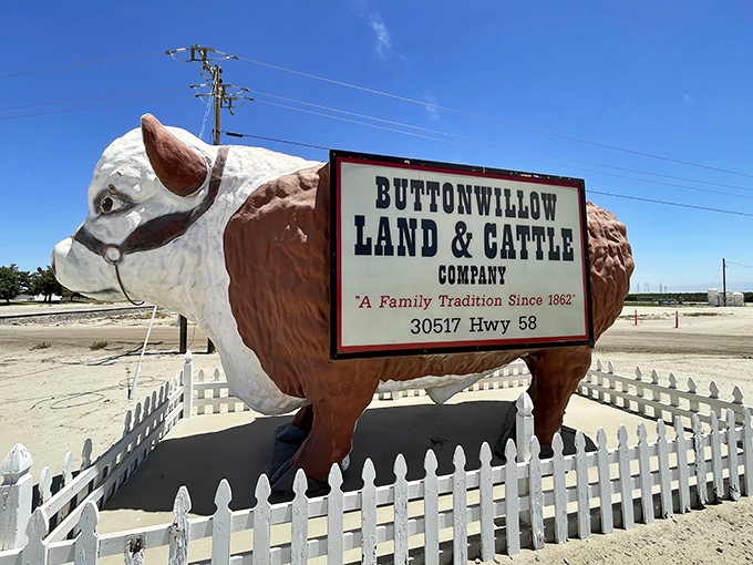 From this angle, you can almost imagine Otis is about to break free from his picket fence and roam the Central Valley.