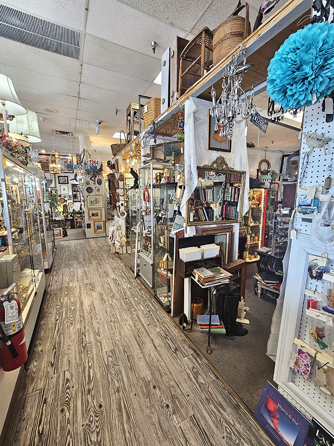 Glass display cases create a museum-like experience where touching is actually encouraged. Each aisle promises new discoveries around every corner.