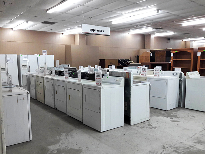 Appliance alley&mdash;where perfectly functional washers and dryers stand at attention, ready to tackle your laundry without emptying your wallet.