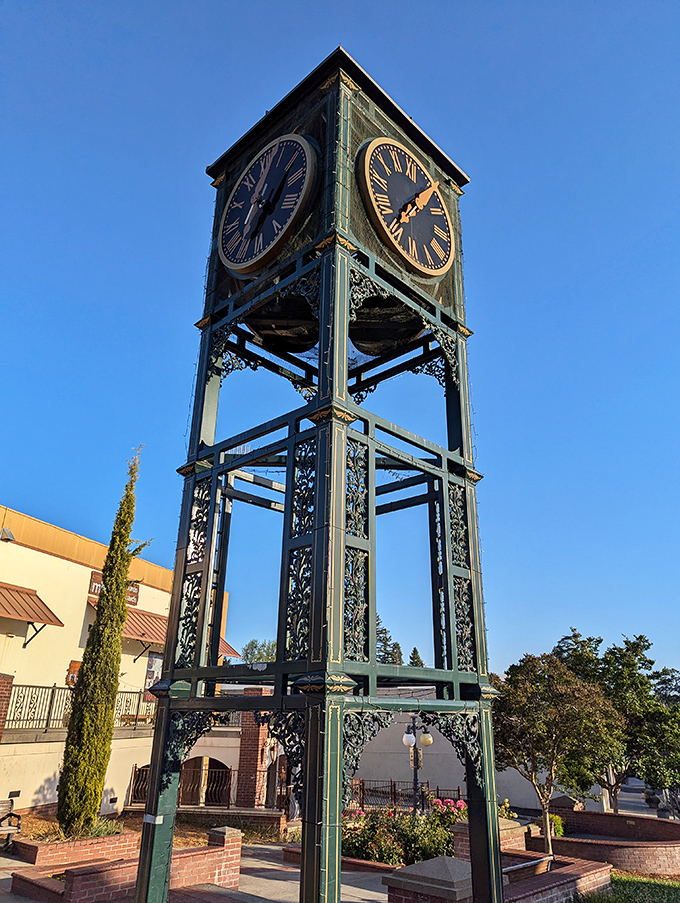 Auburn's iconic clock tower rises like a Victorian-era skyscraper, marking time for generations of locals and confused tourists alike.