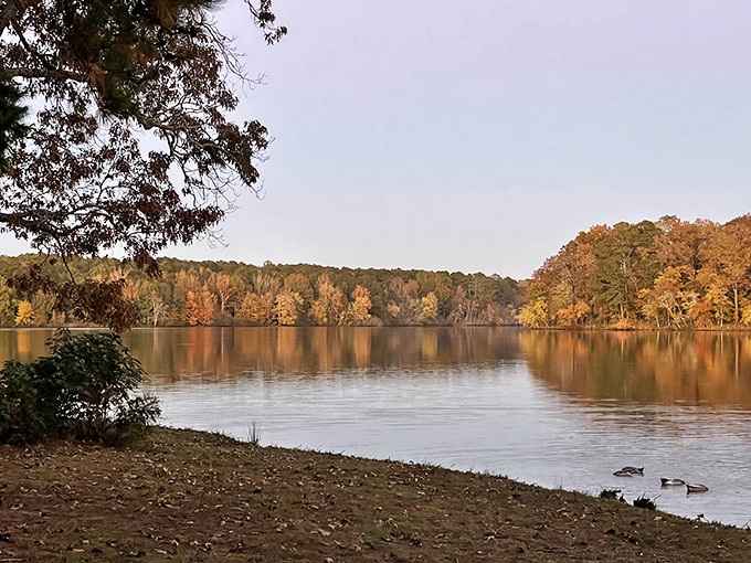 Fall foliage creates a golden frame around the lake &ndash; autumn's way of showing off its artistic talents.