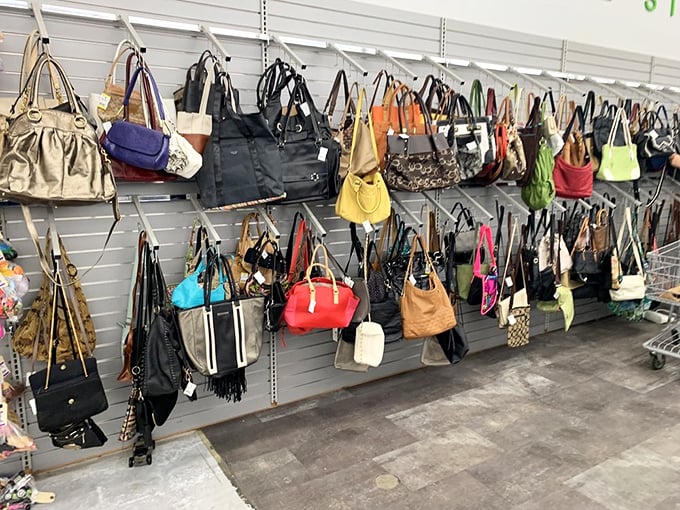 Handbag heaven, where designer dreams and practical purses hang in democratic harmony, waiting for their second chance at accessorizing greatness.