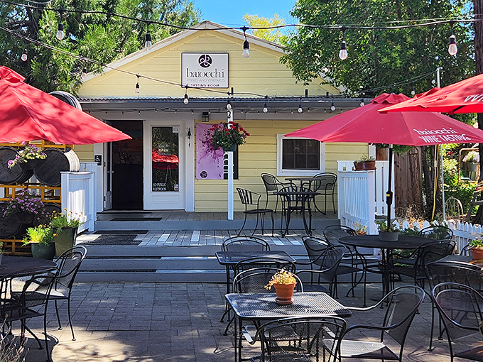 Baiocchi Wines' sunny yellow building and cheerful red umbrellas create an irresistible outdoor tasting space that practically demands an afternoon of leisurely sipping.