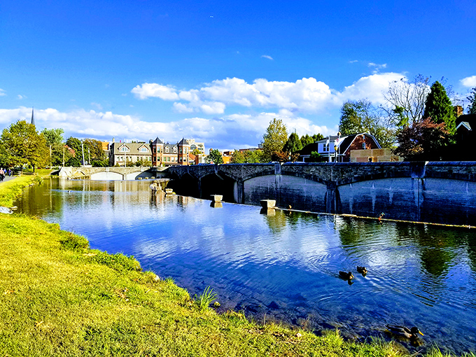 Baker Park stretches out like Frederick's front lawn, where everyone's invited to the neighborhood picnic.