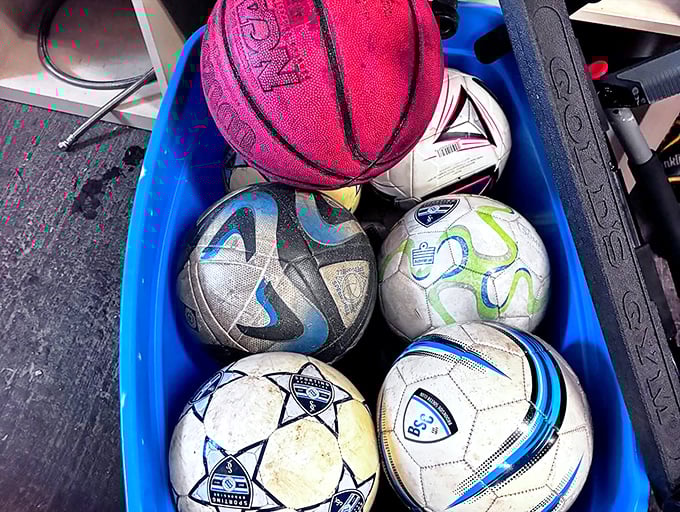 A blue bin of sporting possibilities&mdash;from soccer practice to pickup basketball games&mdash;all at prices that won't deflate your wallet.