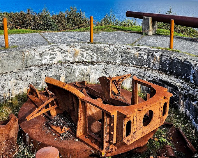 Once a cannon, now a quiet storyteller&mdash;rusty bones framing ocean blues with calm, cinematic charm.