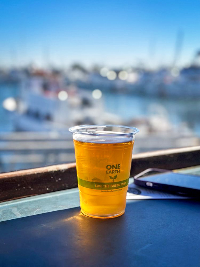 Nothing complements harbor views quite like a local craft beer, especially when pelicans are diving for their dinner nearby.