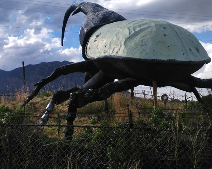 Mountains provide the perfect backdrop for this beetle behemoth &ndash; nature's small creatures reimagined on a scale worthy of Colorado's landscape.