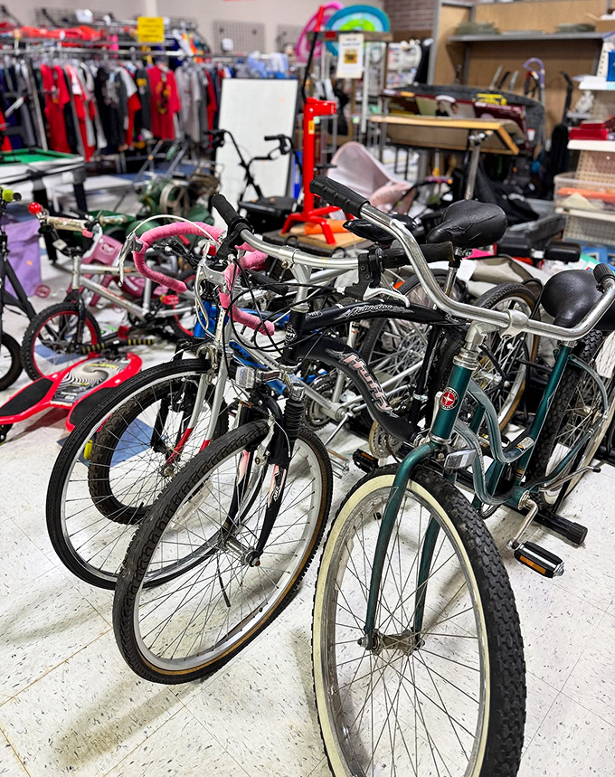 Bicycle bonanza! These wheels are ready for new adventures—from neighborhood cruising to serious commuting—at prices that'll make your car jealous.