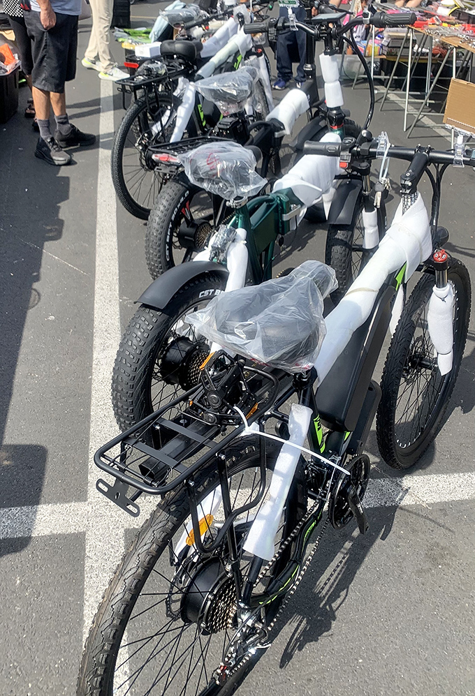 Not just bikes&mdash;urban freedom machines! These sleek cycles offer the perfect blend of eco-friendly transportation and Southern California style.