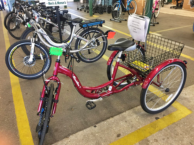 Bicycles waiting for their next adventure&mdash;from practical three-wheelers to sleek road bikes that promise to transform your commute into joy.