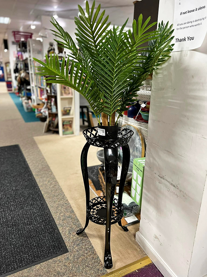 This elegant black metal plant stand isn't just furniture&mdash;it's a throne for your fiddle-leaf fig to lord over lesser houseplants. 
