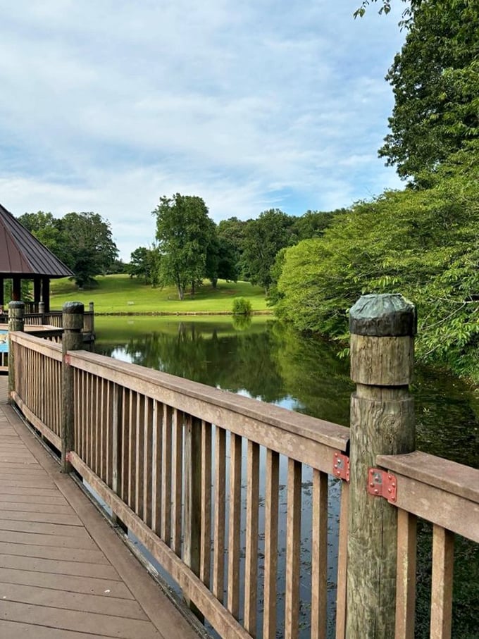 The boardwalk where you can contemplate nature's beauty without getting your feet wet, which is always appreciated.
