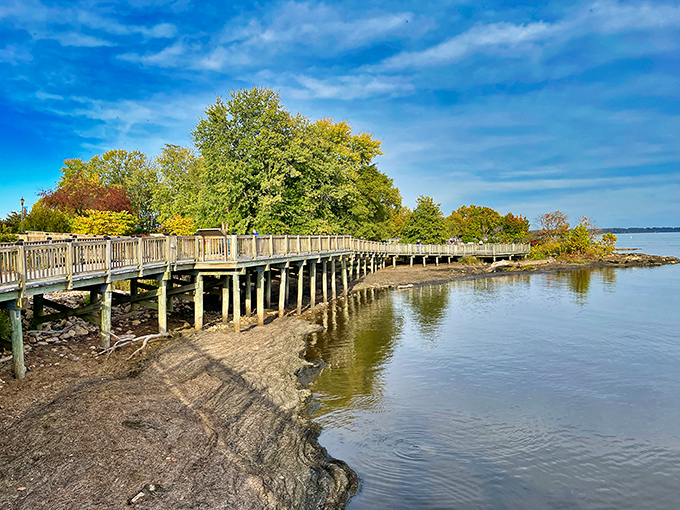The boardwalk promenade offers peaceful water views and contemplative moments. Nature's therapy session comes included with every visit.