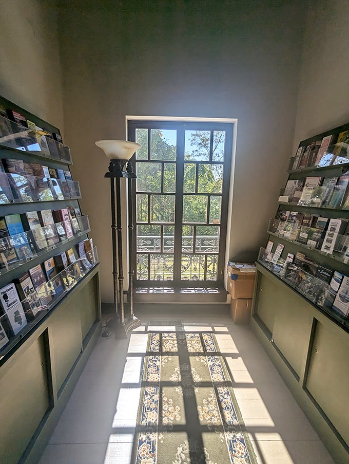 Natural light illuminates brochures about local attractions, though honestly, you've already found the best one right here.