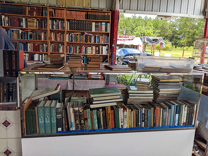 Book lovers beware: you'll need a bigger bookshelf after visiting this literary labyrinth of forgotten bestsellers and hidden classics.