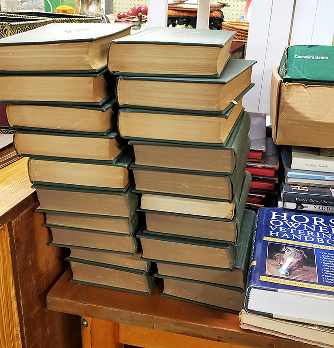 Stacked stories and adventures bound in leather. These towers of knowledge existed long before Wikipedia made us think we knew everything.