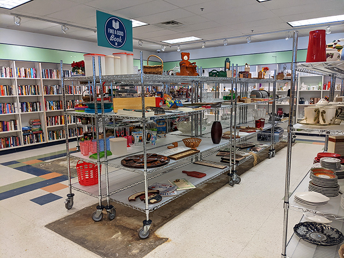 Between the books and housewares, these metal shelves hold the random bits of life that make thrifting an adventure. Someone's forgotten cake plate could be your next serving masterpiece.