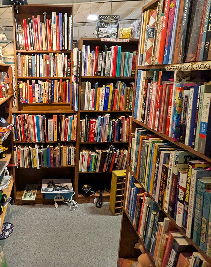 A bibliophile's dream corner with shelves organized by someone who truly understands the joy of discovering that perfect forgotten tome.