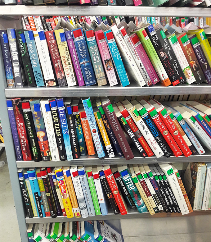 Literary treasures waiting to be discovered, from bestsellers to those wonderfully obscure titles nobody's heard of.