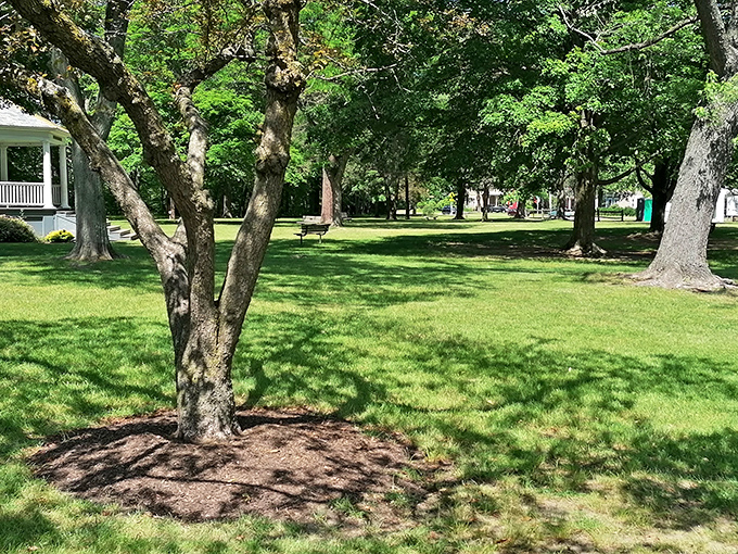 Brattleboro Common offers a green respite where ancient trees provide shade that feels centuries wiser than any air conditioning system.