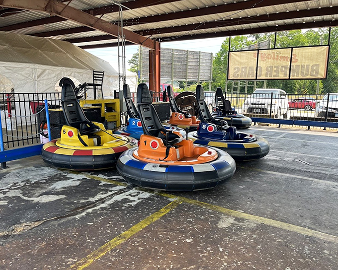 Wait, bumper cars? Because apparently Smiley's believes shopping should include an amusement park intermission for the young and young-at-heart.