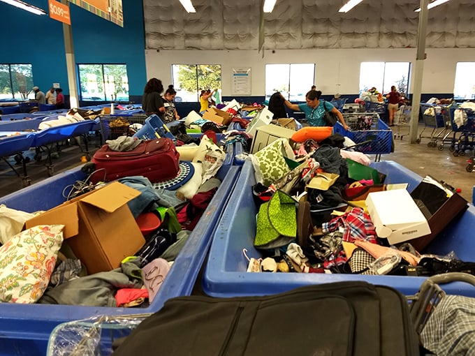 The thrill of the hunt in full swing. Shoppers navigate the sea of blue bins like explorers charting unknown territories.