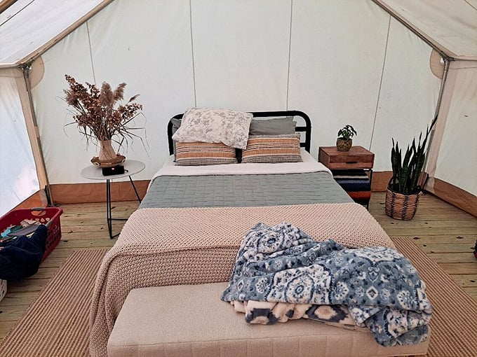 Glamping's greatest achievement: waking up in nature without sacrificing thread count. Wilderness and comfort finally make peace.