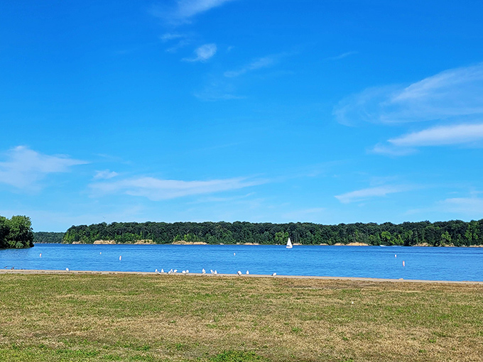 Caesar Creek's beach offers Midwest Mediterranean vibes without the passport drama. Just add sunscreen and pretend that's a yacht on the horizon.